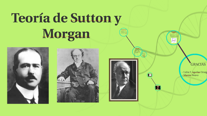 Teoría de Sutton y Morgan by Lidia Fernanda Aguilar Ortega on Prezi