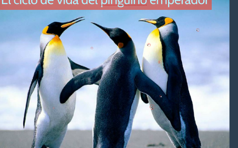 El ciclo de vida del pinguino emperador by Dahlia Navarro on Prezi