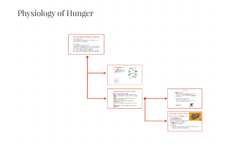 AP Psychology Physiology of Hunger Presentation by Connor Leak on Prezi