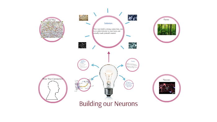Neuron by Coley Webb on Prezi