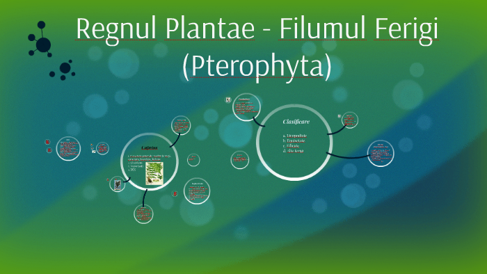 Filumul Ferigi (Pterophyta) by Beschieru Vadim on Prezi
