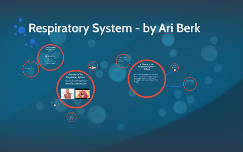 Respiratory System - by Ari Berk by Ari Berk on Prezi