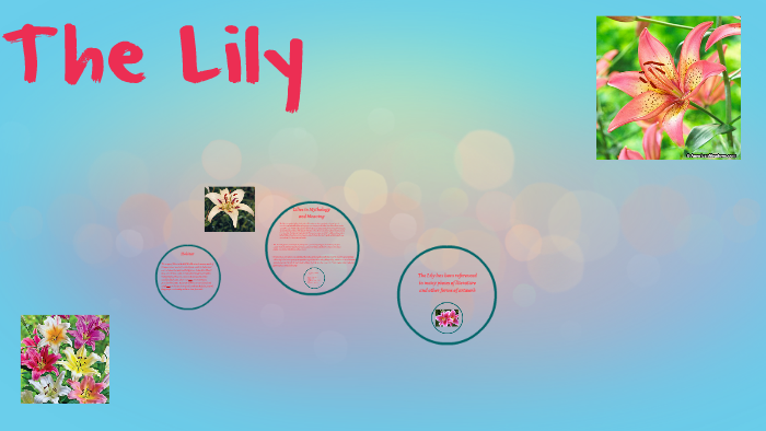 Lily Mythology by Carson Parks on Prezi