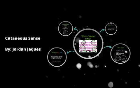 Cutaneous Sense by Jordan Jaques on Prezi