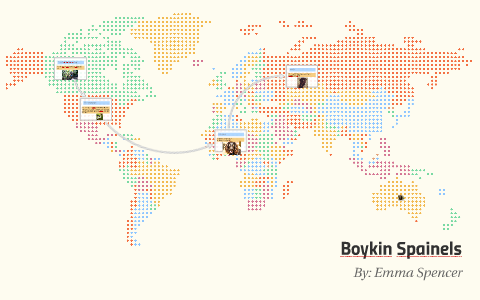 Boykin Spainels by Emma Spencer on Prezi