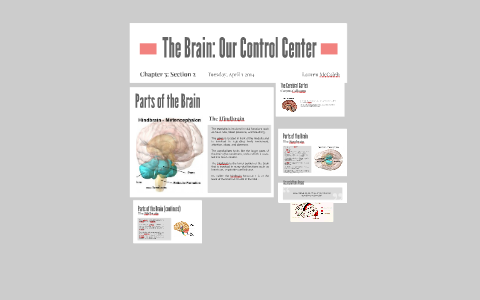 The Brain: Our Control Center by Lauren McCaleb on Prezi