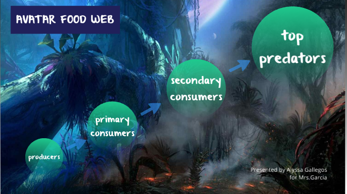 avatar food web by Lyssa Gallegos on Prezi