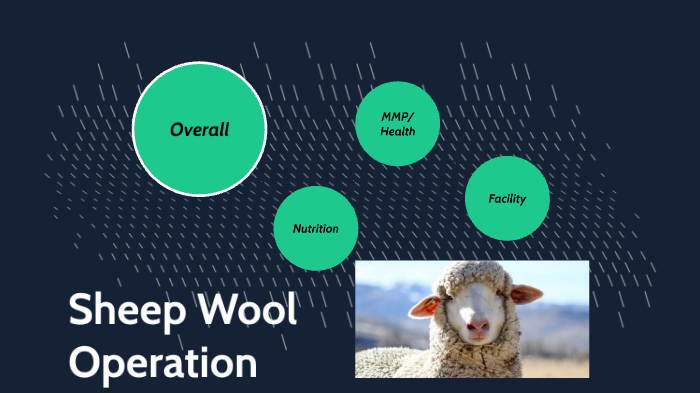 Sheep Wool Project by shawn wilbourn on Prezi