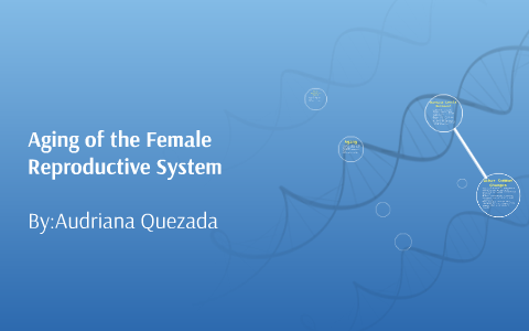 Aging of the Female Reproductive System by Audriana Quezada on Prezi