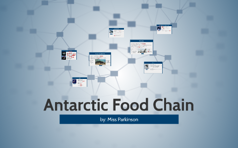 Antarctic Food Chain by Moira Parkinson on Prezi