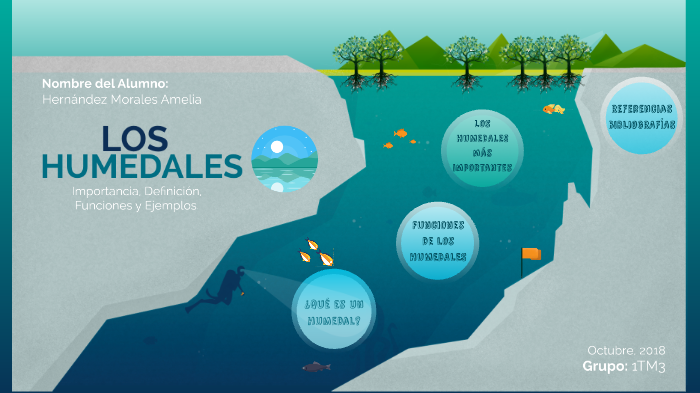 Humedales by Amelia Hernández on Prezi