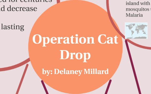 Operation Cat Drop by Delaney Millard on Prezi