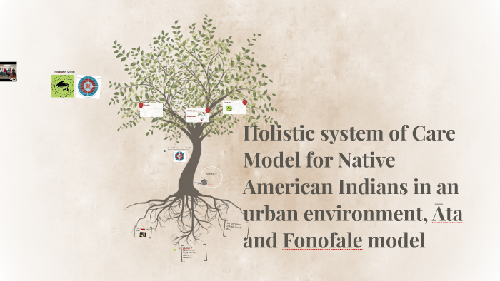 Native American Holistic Model