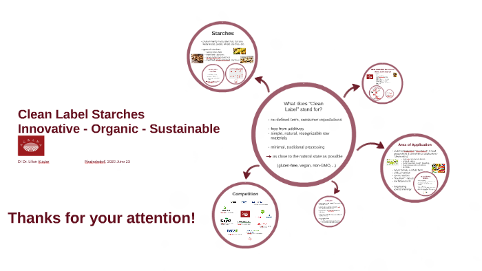 Clean Label Starches - Innovative Organic Sustainable by Lilian Kuster