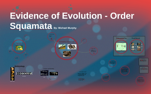 Evidence of Evolution - Order Squamata by mike murphy