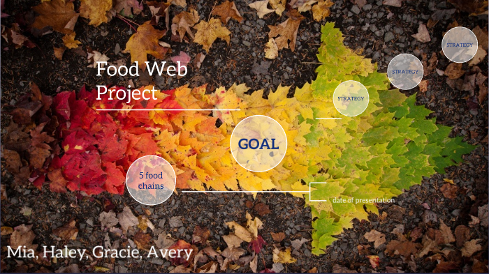 Food Web Project by Cole Sprouse on Prezi