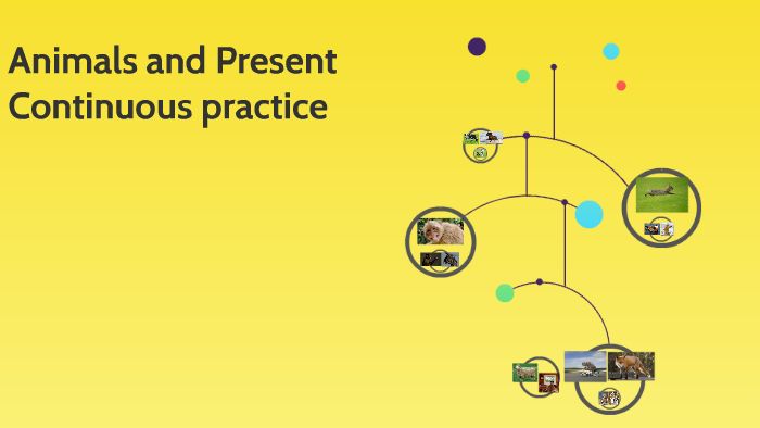 Animals and Present Continuous practice by Perju Tatiana on Prezi