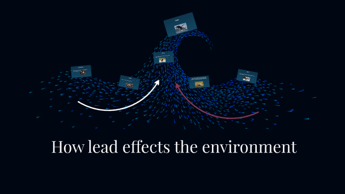 How lead effects the environment by Dillon Williams
