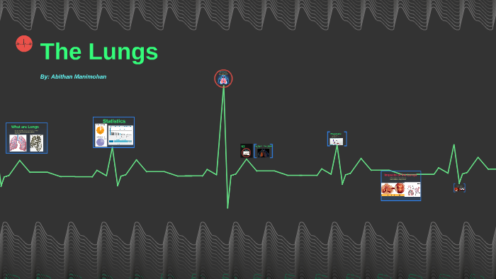 The Lungs by Abithan Manimohan on Prezi