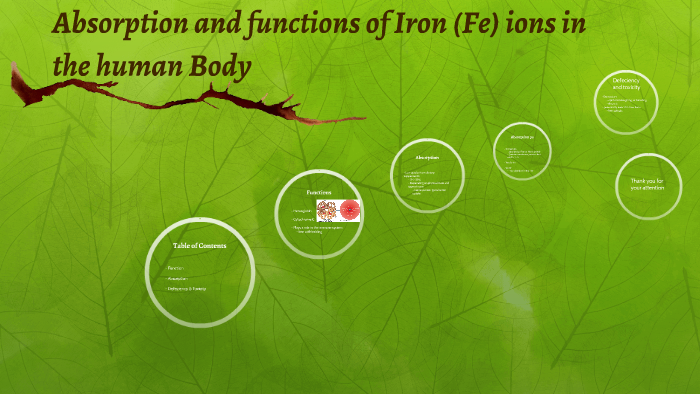 Absorption and functions of Iron (Fe) ions in the human Body by Petter ...