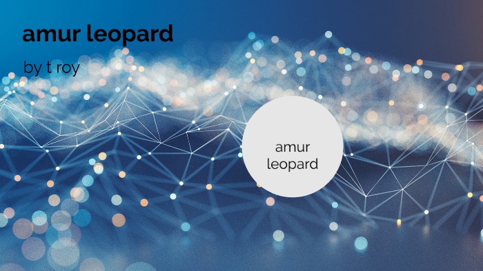 amur leopard by Troy Carver on Prezi