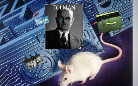 TOLMAN by luis felipe castillo on Prezi