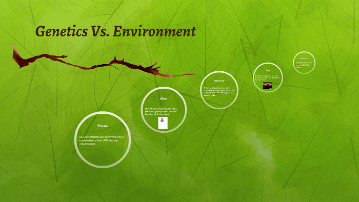 Genetics Vs. Environment by maegan phelps on Prezi