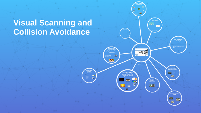 II.C.: Visual Scanning and Collision Avoidance by Monika Rozynski