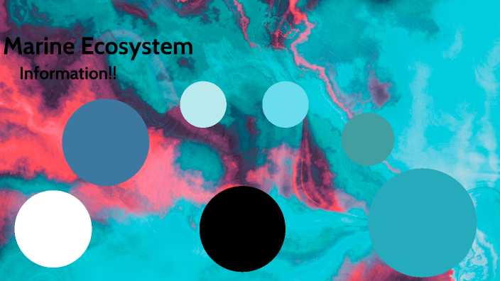 Marine by Jesabel Tavera on Prezi