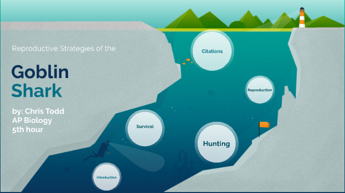 Goblin Shark Reproductive Strategies by Chris Todd on Prezi