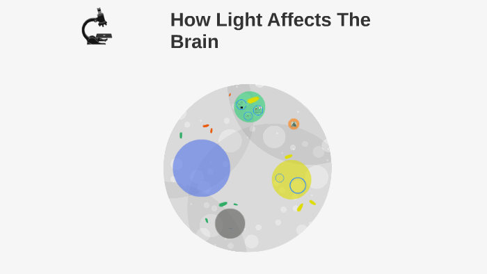 How Light Affects The Brain by William Meek on Prezi