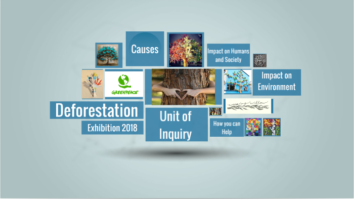 Deforestation Ib by Iris Alviar on Prezi