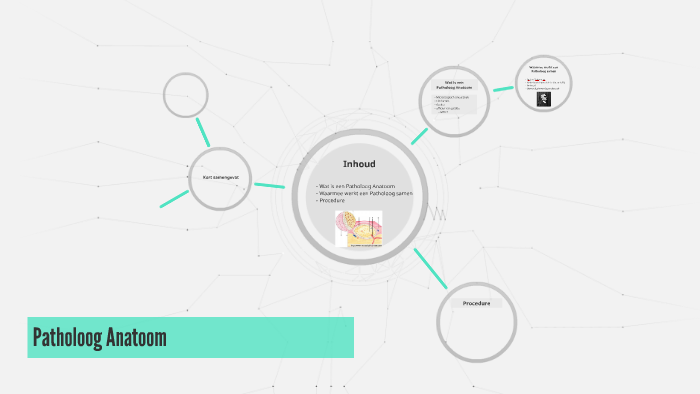 Patholoog Anatoom by Lisa koers on Prezi