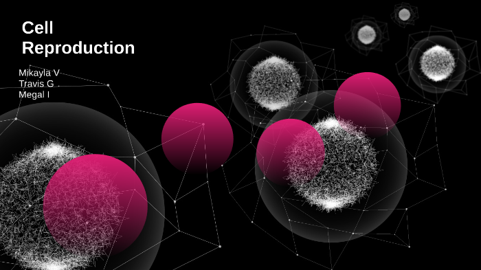 Cell reproduction; exponential growth by MiKayla Valentine on Prezi
