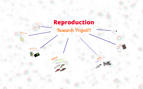 Reproduction Research Project by Kanokwan Mook on Prezi