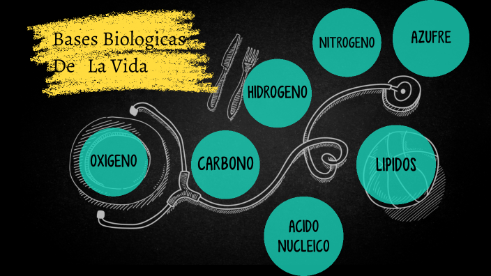 BASE BIOLOGICA DE LA VIDA by Keren Bran on Prezi