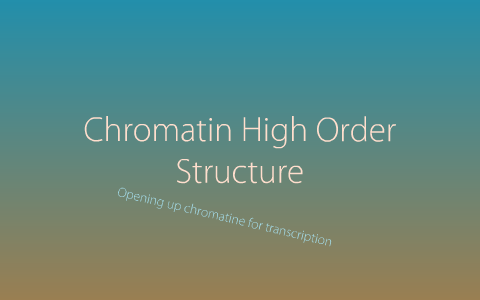 CHROMATIN HIGH ORDER STRUCTURE by Jesus Salinas on Prezi
