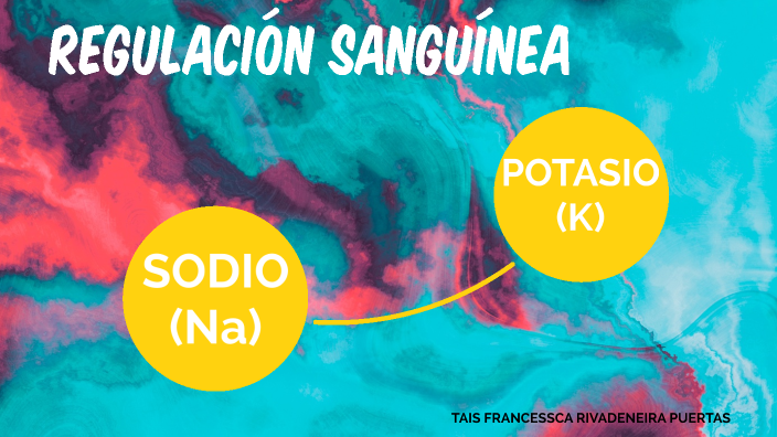REGULACIÓN DEL VOLUMEN SANGUÍNEO by Francessca Rivadeneira on Prezi