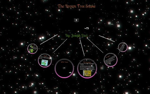 Joseph Brown Tree Snake by Ms Sandbo on Prezi