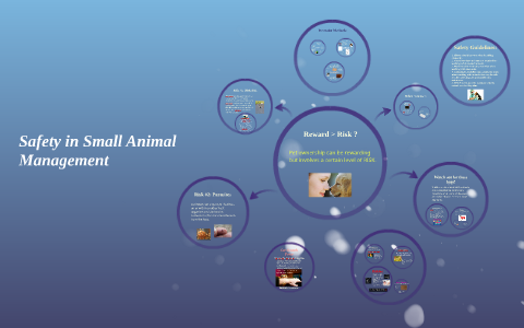 Safety in Small Animal Management by Theresa Thompson