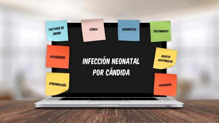 INFECCIÓN NEONATAL POR CANDIDA by Macarena Hillman on Prezi