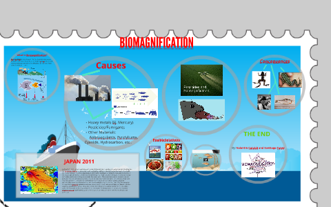 WHAT IS BIOMAGNIFICATION? by Alejandro rosch on Prezi