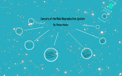 Cancers of the Male Reproductive System by Renee Hosler on Prezi