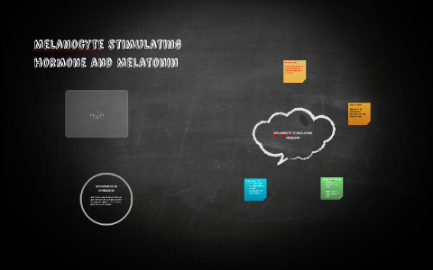 Melanocyte stimulating hormone and Melatonin by Robert Knight on Prezi
