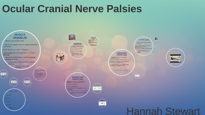 CRANIAL NERVE PALSIES by Hannah Stewart on Prezi