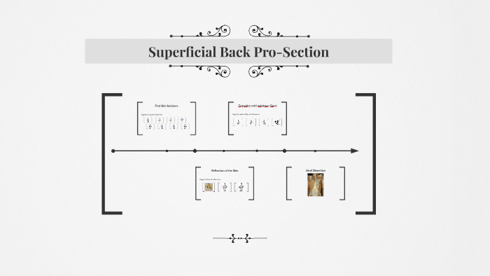 Superficial Back Pro-Section by David Nichols on Prezi