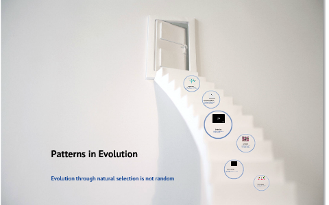 Patterns in Evolution by Joe Swanson on Prezi
