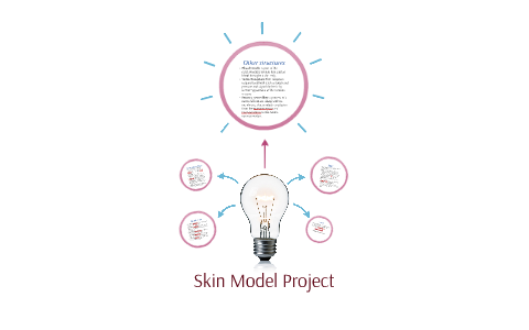Skin Model Project by kacie craker on Prezi