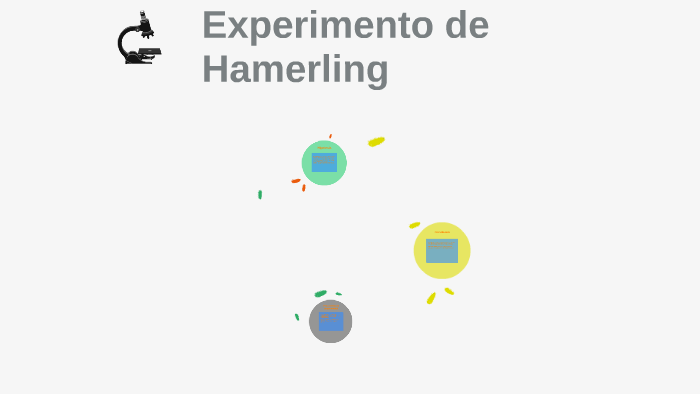 Experimento de Hamerling by eliau mainemer on Prezi