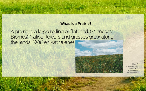 Minnesota Ecosystems by Macy Wagner on Prezi